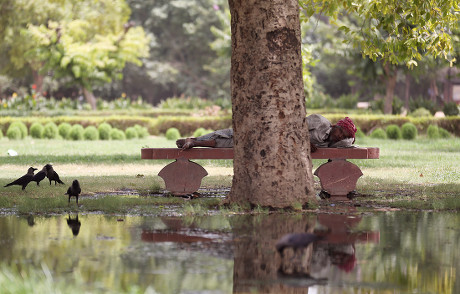 Indian Man Rest Under Tree During Editorial Stock Photo - Stock Image ...