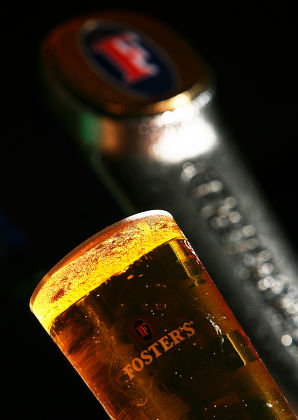 Pint Fosters Lager Sits On Bar Editorial Stock Photo - Stock Image ...