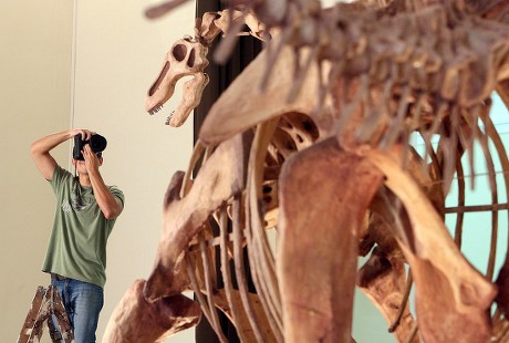 Maxakalisaurus Topai Dinosaur Reconstruction On Display Editorial Stock ...