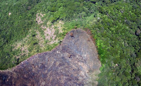 Aerial View Rio Platano Nature Reserve Editorial Stock Photo - Stock ...