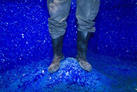 8 Installation of copper sulphate crystals in a flat at the Elephant ...