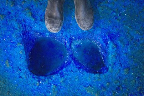 8 Installation of copper sulphate crystals in a flat at the Elephant ...