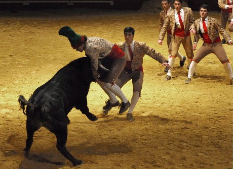 Group Portuguese Forcados Try Catch Bull Editorial Stock Photo - Stock ...