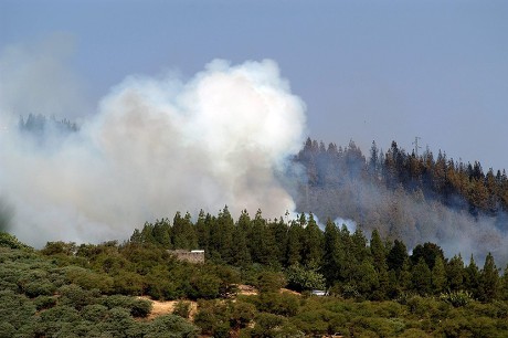 Thick Smoke Forest Fire Rises Forest Editorial Stock Photo - Stock ...