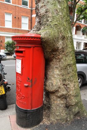 Tree eats Postbox, London, Britain - Sep 2008 Stock Pictures, Editorial ...