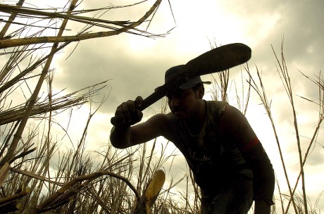 Sugar Cane Cutter Chinandega Nicaragua Friday Editorial Stock Photo ...