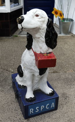 Rspca Collection Box Editorial Stock Photo - Stock Image | Shutterstock