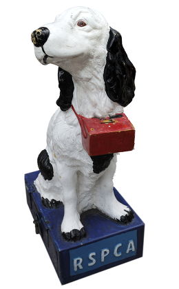 Rspca Collection Box Editorial Stock Photo - Stock Image | Shutterstock