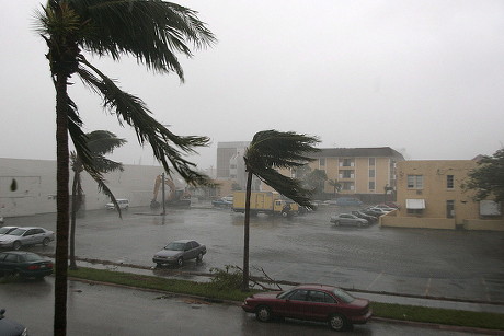 Hurricane Winds Pound Miami Hurricane Wilma Editorial Stock Photo ...