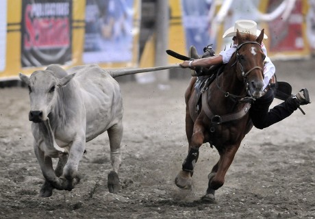 Colombian Cowboy Anderson Arias Takes Part Editorial Stock Photo ...