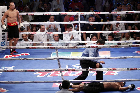 Referee Counts Down Colombian Boxer Likar Editorial Stock Photo - Stock ...