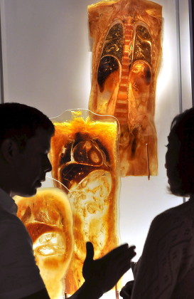 Detail Art Exhibition Humans Called Bodies Editorial Stock Photo ...