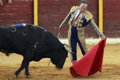 English Bullfighter Frank Evans 67 Performs Editorial Stock Photo ...