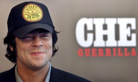 Puerto Rican Actor Benicio Del Toro Editorial Stock Photo - Stock Image ...