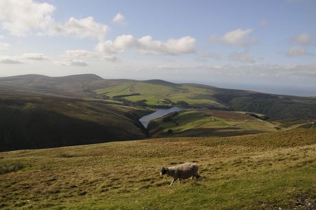High Views Snaefell Mountain Railway Tram Editorial Stock Photo - Stock ...