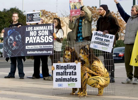 Two Animal Right Activists Dressed Caged Editorial Stock Photo - Stock ...
