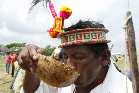 Native Wayuu Drinks Chicha De Maiz Editorial Stock Photo - Stock Image ...
