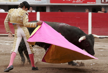 Mexican Bullfighter Mora His First Bull Editorial Stock Photo - Stock ...