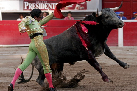 Mexican Bullfighter Jose Maria Luevano His Editorial Stock Photo ...