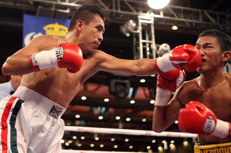 Mexican Boxer Julio Cesar El Pingo Editorial Stock Photo - Stock Image ...
