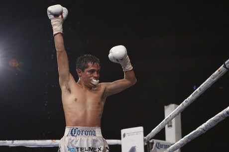 Mexican Boxer Edgar Sosa Celebrates After Editorial Stock Photo - Stock ...