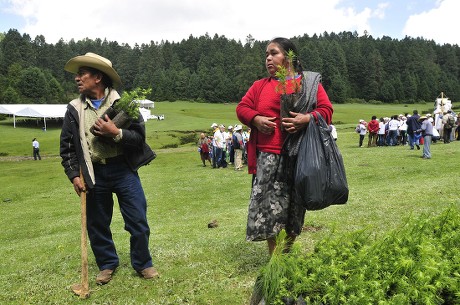 Indigenous Chincua Sierra Get Ready Sow Editorial Stock Photo - Stock ...