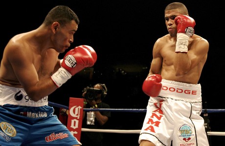 Puerto Rican Boxer Juan Manuel Lopez Editorial Stock Photo - Stock ...