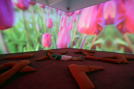 Swiss Video Artist Pipilotti Rist Poses - Foto de stock de contenido ...