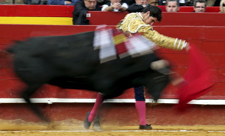 Epa02079967 Spanish Bullfighter Jesus Janeiro Jesulin Editorial Stock ...