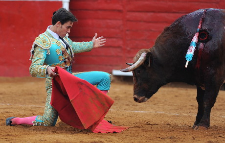 Mexican Bullfighter Jose Mauricio Morett Action Editorial Stock Photo ...