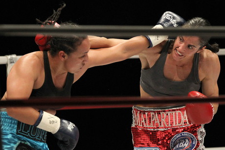 Peruvian Wba Female Super Featherweight World Editorial Stock Photo ...