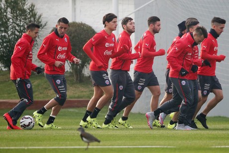 Chilean National Soccer Team Players Seen Editorial Stock Photo - Stock ...
