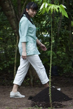 Princess Mako Japan After Planting Ceiba Editorial Stock Photo - Stock ...