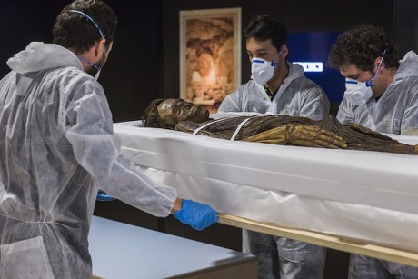 Several Archaeologists Carry Guanche Mummy Barranco Editorial Stock ...