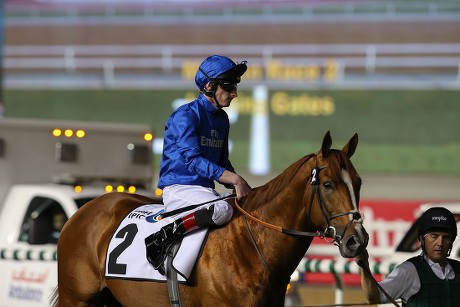 Gold Trail Adam Kirby Trained By Editorial Stock Photo - Stock Image ...