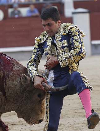 Spanish Bullfighter Javier Castano Holds Onto Editorial Stock Photo ...
