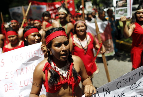Venezuelan Indigenous Woman Pemones People Takes Editorial Stock Photo ...