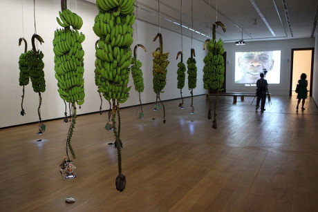 Art Installation Musa Paradisiaca Musa Paradise Editorial Stock Photo ...