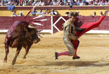 Spanish Bullfighter Manuel Diaz El Cordobes Editorial Stock Photo ...