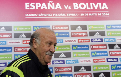 Spanish National Soccer Team Head Coach Editorial Stock Photo - Stock ...