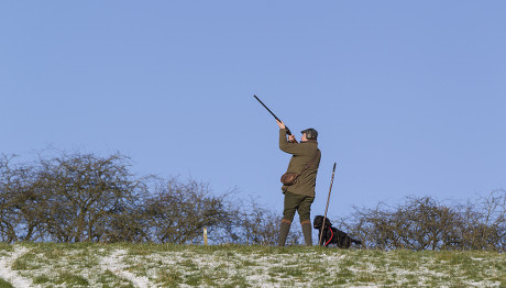 __COUNT__ Hartoft Rigg pheasant game shoot near Rosedale, North ...