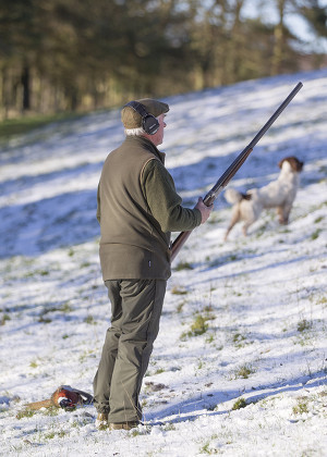 __COUNT__ Hartoft Rigg pheasant game shoot near Rosedale, North ...