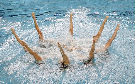 Team Netherlands Competes Synchronized Swimming Team Editorial Stock ...