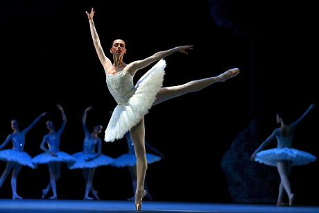 Switzerland Ballet Don Quixote - Nov 2006 Stock Pictures, Editorial ...