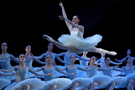 Switzerland Ballet Don Quixote - Nov 2006 Stock Pictures, Editorial ...