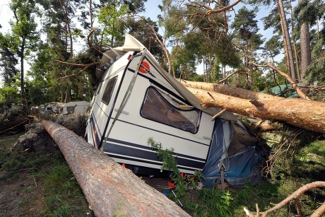 Trailer Crushed By Big Tree Vd8 Editorial Stock Photo - Stock Image ...