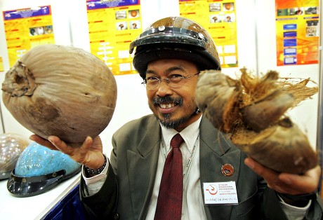 Holding Two Coconut Shells His Hands Editorial Stock Photo - Stock ...