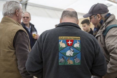 Rabbit Breeders Chat During 23rd Swiss Editorial Stock Photo - Stock ...