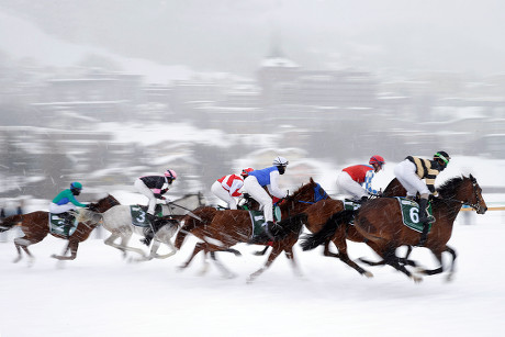 Switzerland Horse Racing White Turf - Feb 2014 Stock Pictures ...