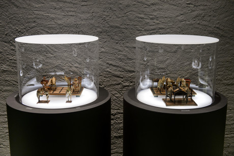 Exhibits Stuffed Frogs Displayed Frog Museum Editorial Stock Photo ...